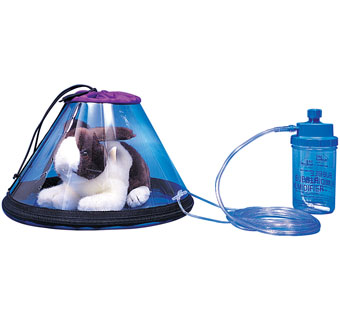 OXY HOOD OXYGEN SUPPLEMENTATION DEVICE SET OF 3 SIZES 1/PKG - Animal ...