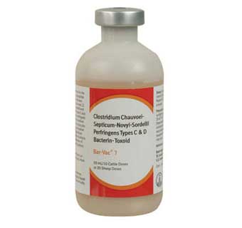 BAR-VAC® 7 1000 ML (200 DOSES) - Animal Health International, Inc.