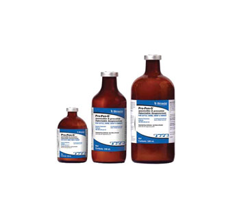 Antibiotics - Cattle - Animal Health International, Inc.