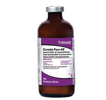 COMBI-PEN 48® ( PENICILLIN G BENZATHINE AND PENICILLIN G PROCAINE ...