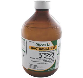 BACTRACILLIN G® INJECTABLE SUSPENSION U.S.P. 500 ML - Animal Health ...