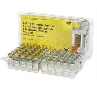 Animal Health International, Inc.