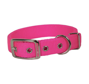 HAMILTON® DD DOUBLE THICK DELUXE DOG COLLAR NYLON 18 IN X 1 IN HOT PINK ...