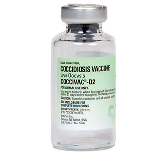 Coccidiosis Prevention - Animal Health International, Inc.