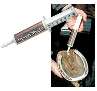 THRUSH MAGIC PASTE – 30CC SYRINGE - EACH - Animal Health International ...