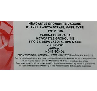 AVIPRO® ND IB SOHOL - 10000 DOSES - Animal Health International, Inc.