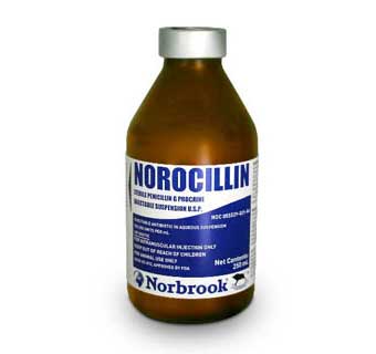 NOROCILLIN® (PENICILLIN G PROCAINE INJECTABLE SUSPENSION) 250 ML 1/PKG ...
