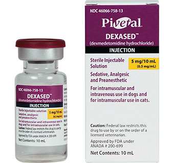 PIVETAL® DEXASED™ (DEXMEDETOMIDINE HYDROCHLORIDE INJECTION 0.5MG/ML 10 ...